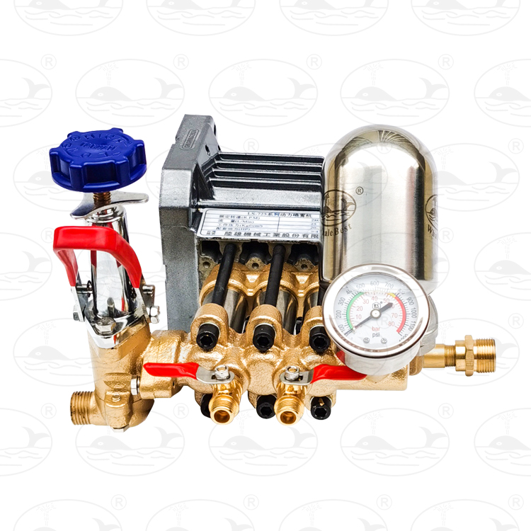Whale Best Triplex Piston Pump LS-712 | Heavy-Duty Sprayer